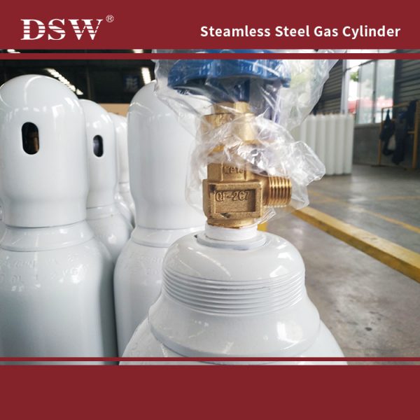 Oxygen Bottle, portable oxygen cylinder, 5 LITER | DSW