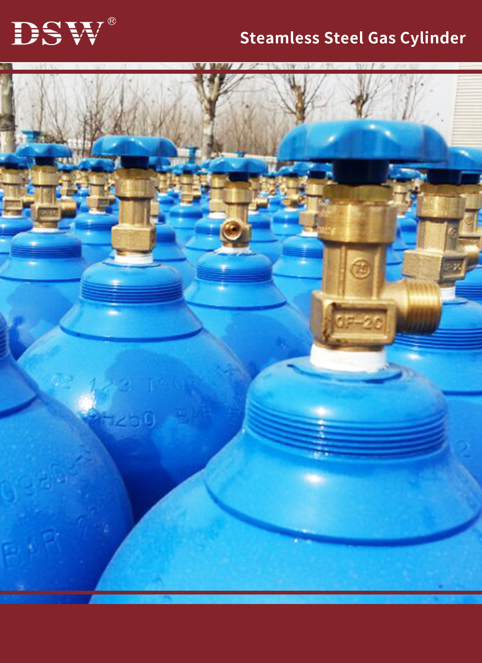 How to Fill and transport oxygen cylinders? DSW Intern.