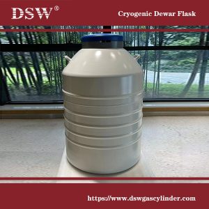 Cryogenic dewar flasks, cryo dewar| DSW Global supplier