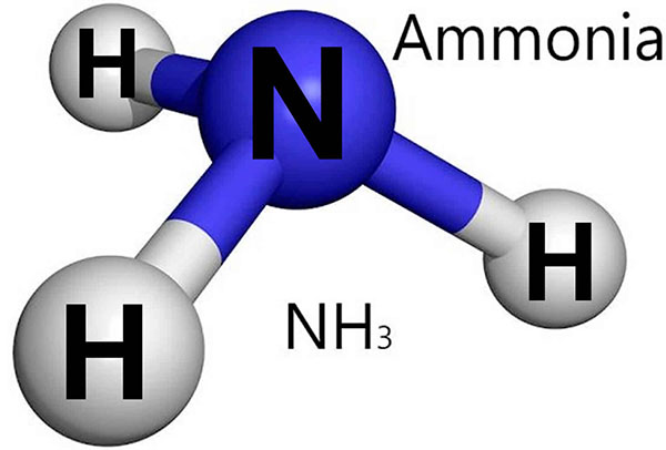Ammonia | ammonia gas | fertilizer - DSW